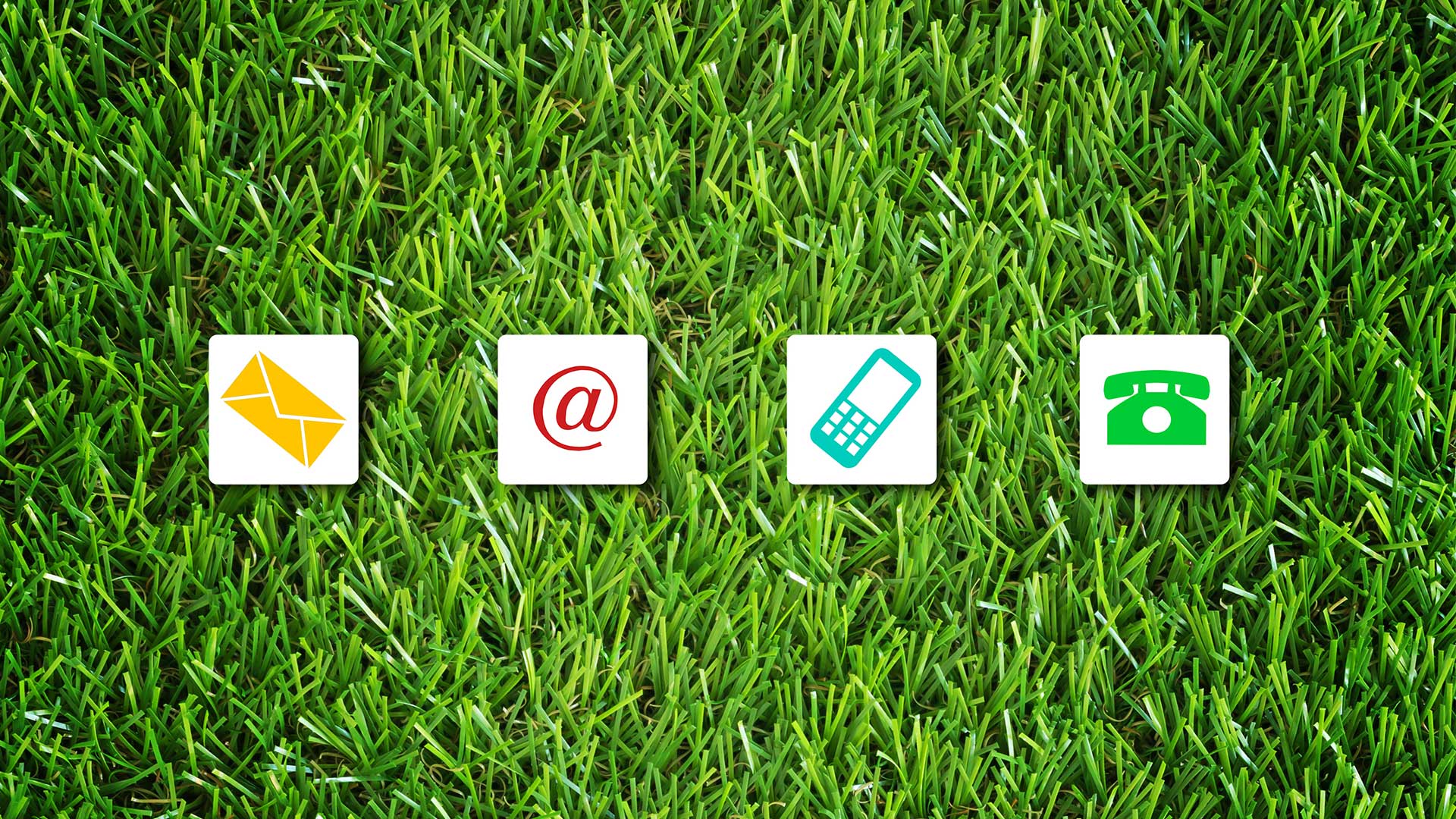 Dayma Contact us – Premium Pulses, Grains and Spices